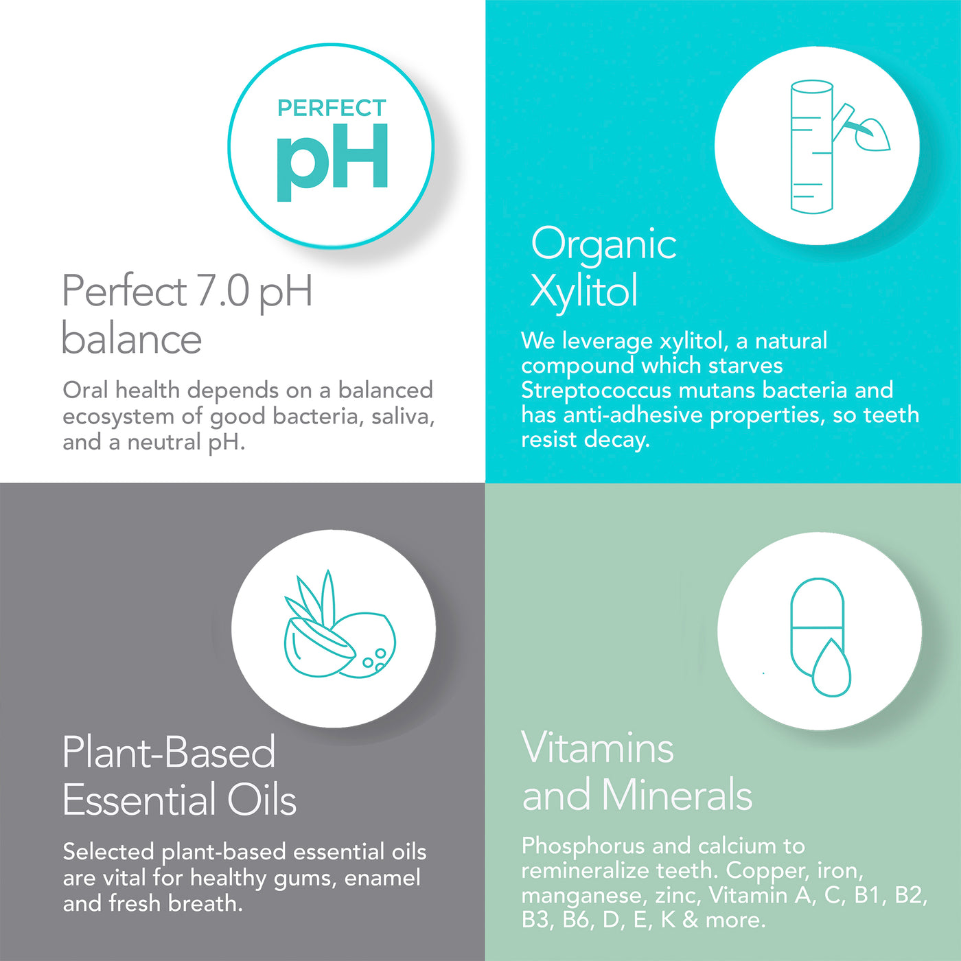 Family Bundle - Bubblegum Toothpaste & Mouthwash & Fresh Mint Toothpas